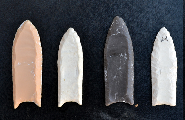 Paleoindian Tools, Environment, and Subsistence | Laboratory for ...